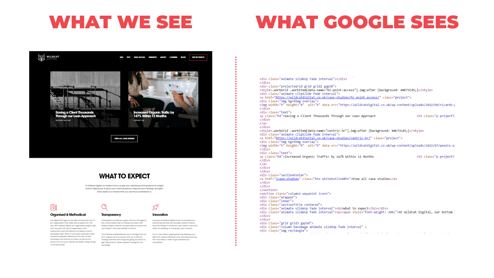 What Google Sees When It Crawls Your Site | Wildcat Digital