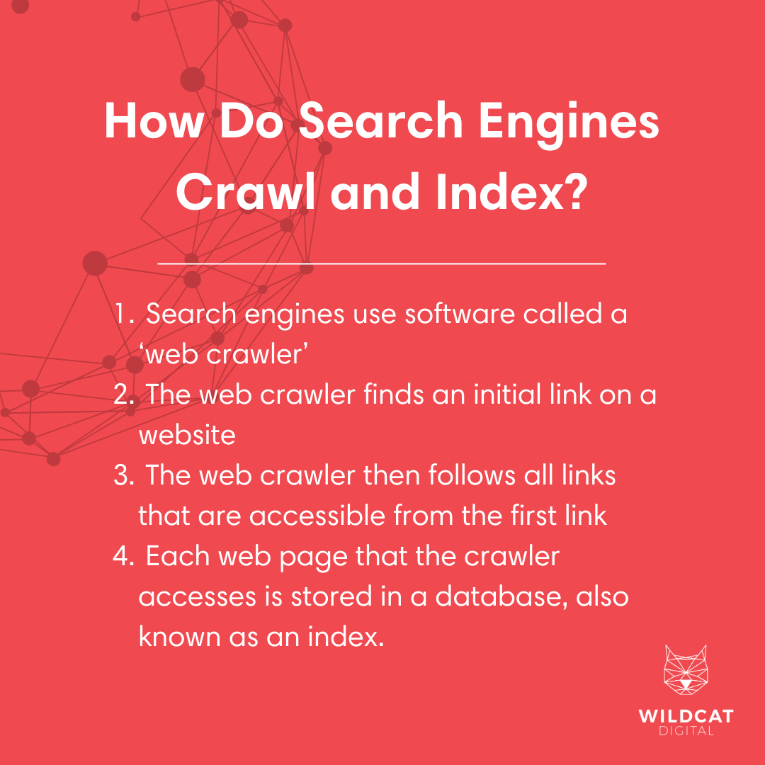 What is Crawling and Indexing in SEO? | Wildcat Digital